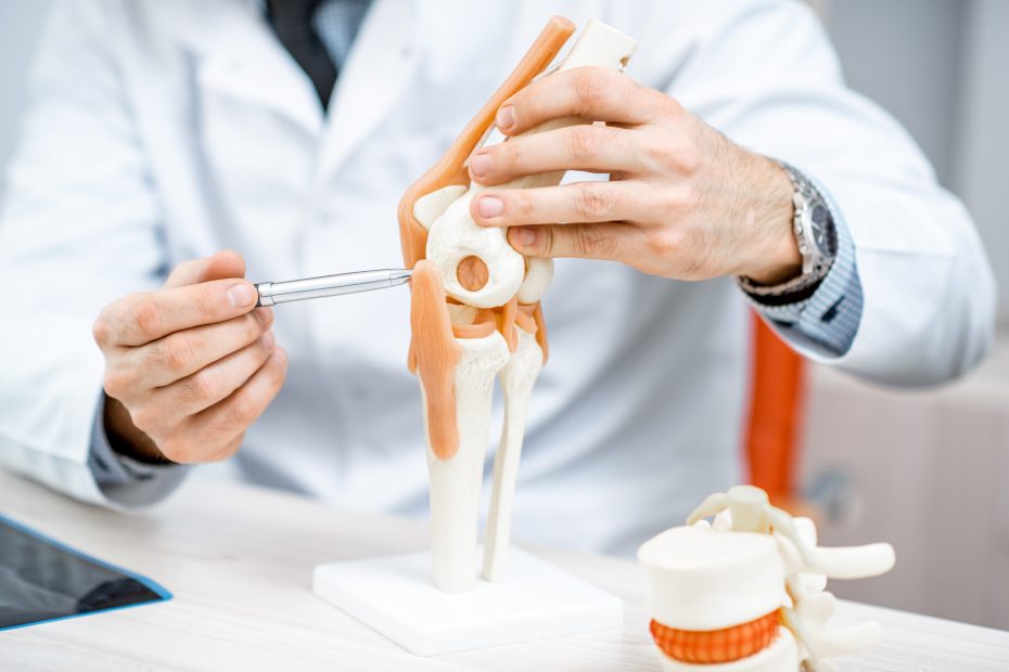 Meniskusoperation | Meniskus OP in Wien | Orthopäde Dr. Gruber